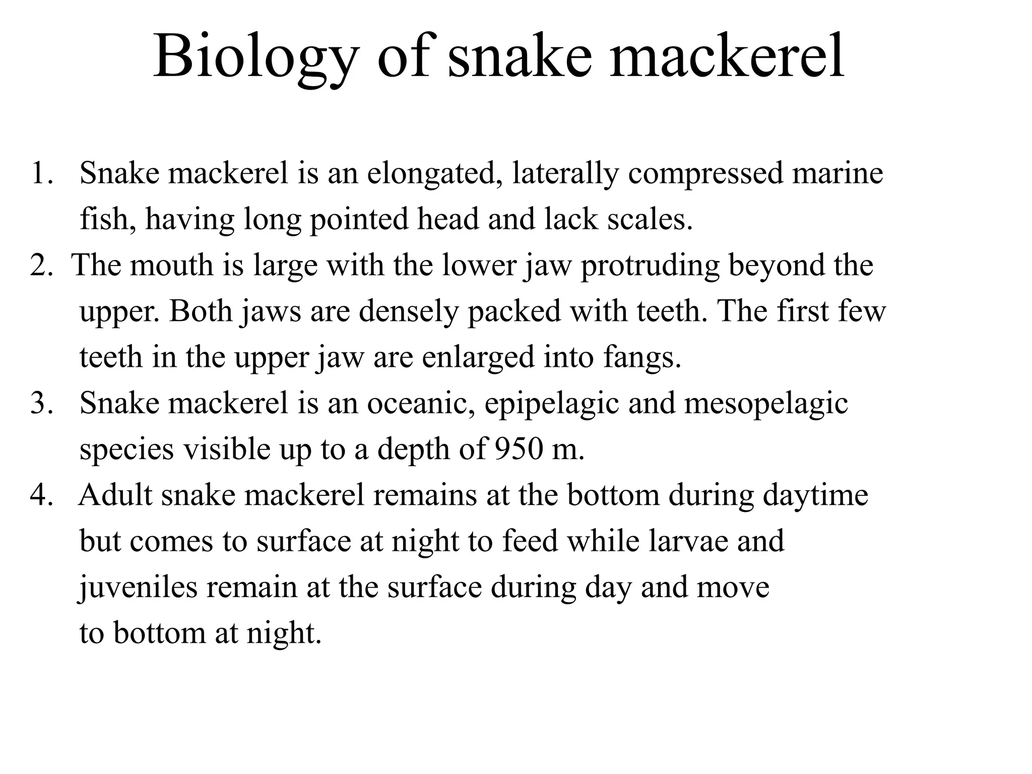 Snake animals | PPTX