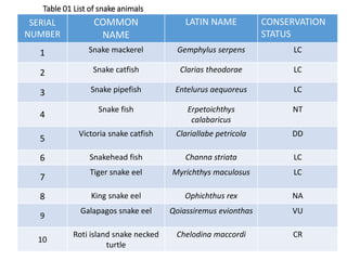 Snake animals | PPTX