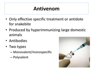 Snakebite in Zimbabwe: An Overview of Snake Antivenon | PPTX