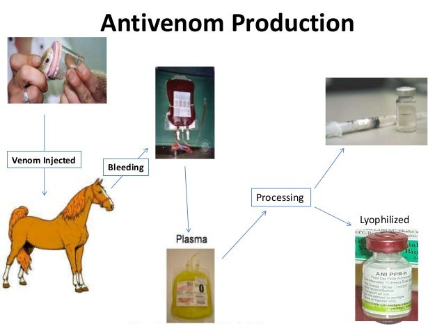 Snakebite in Zimbabwe: An Overview of Snake Antivenon
