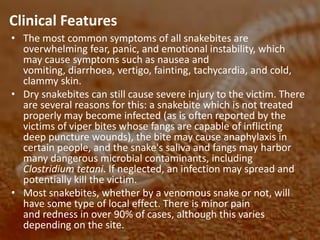 Snake bite | PPTX