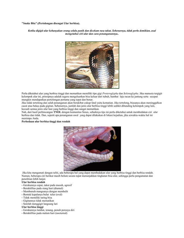 Snake bite | PDF