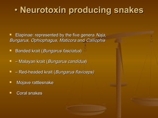 Snake bite | PPT