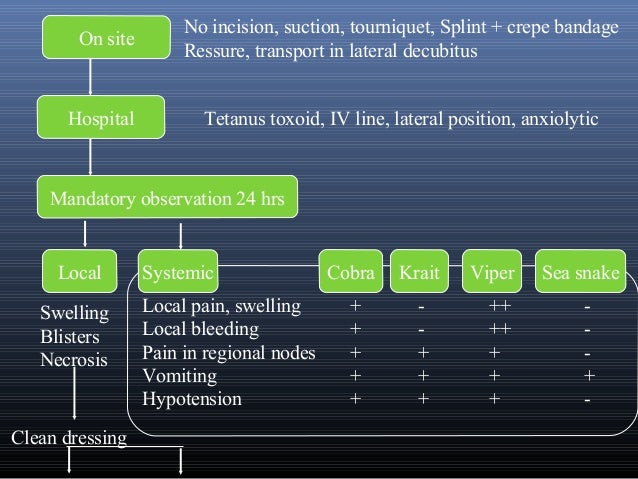 Snake bite management in Pediatrics – DR. TRYNAADH