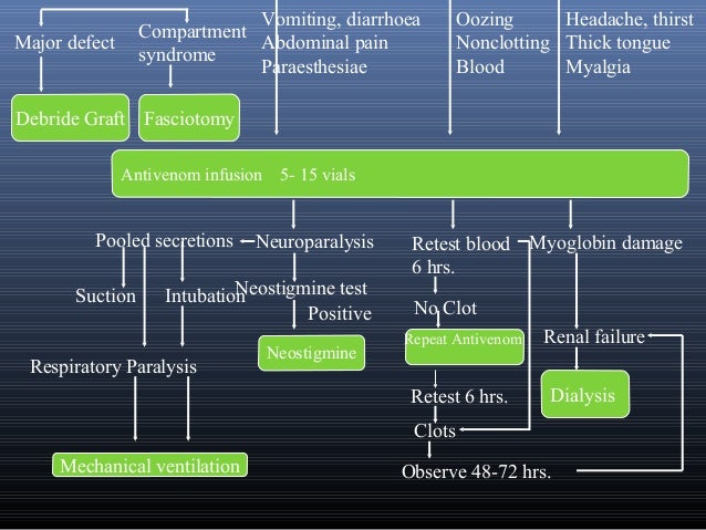 Snake bite management in Pediatrics – DR. TRYNAADH