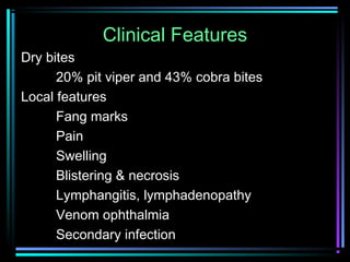 Snake bite | PPT