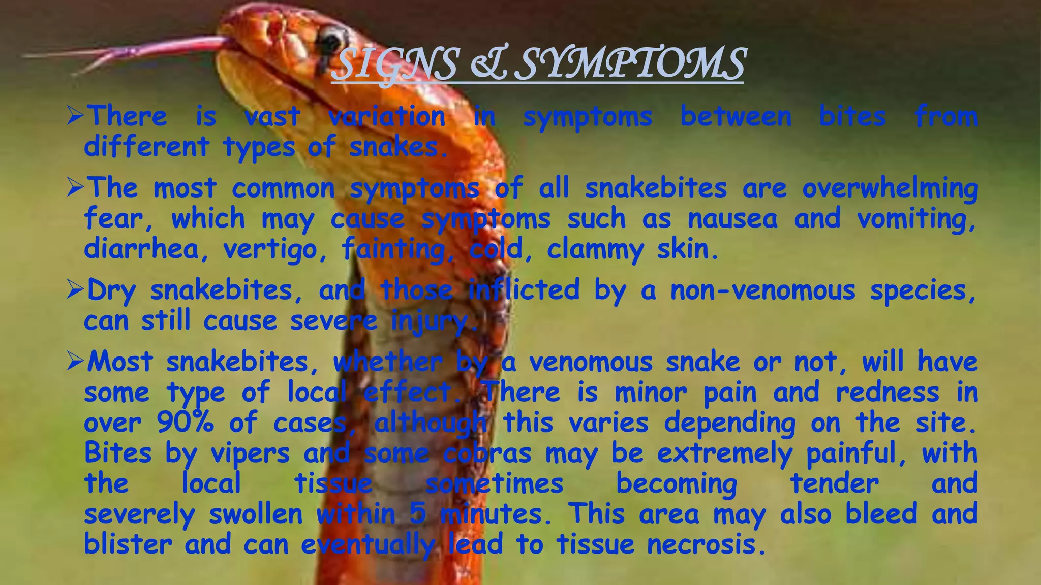 Snake bite | PPTX | First Aid | Injuries