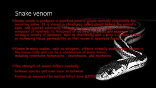 Snake bite | PPTX | First Aid | Injuries