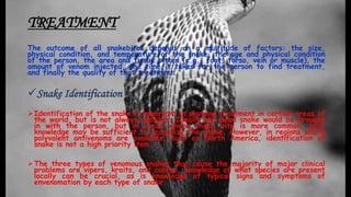 Snake bite | PPTX | First Aid | Injuries