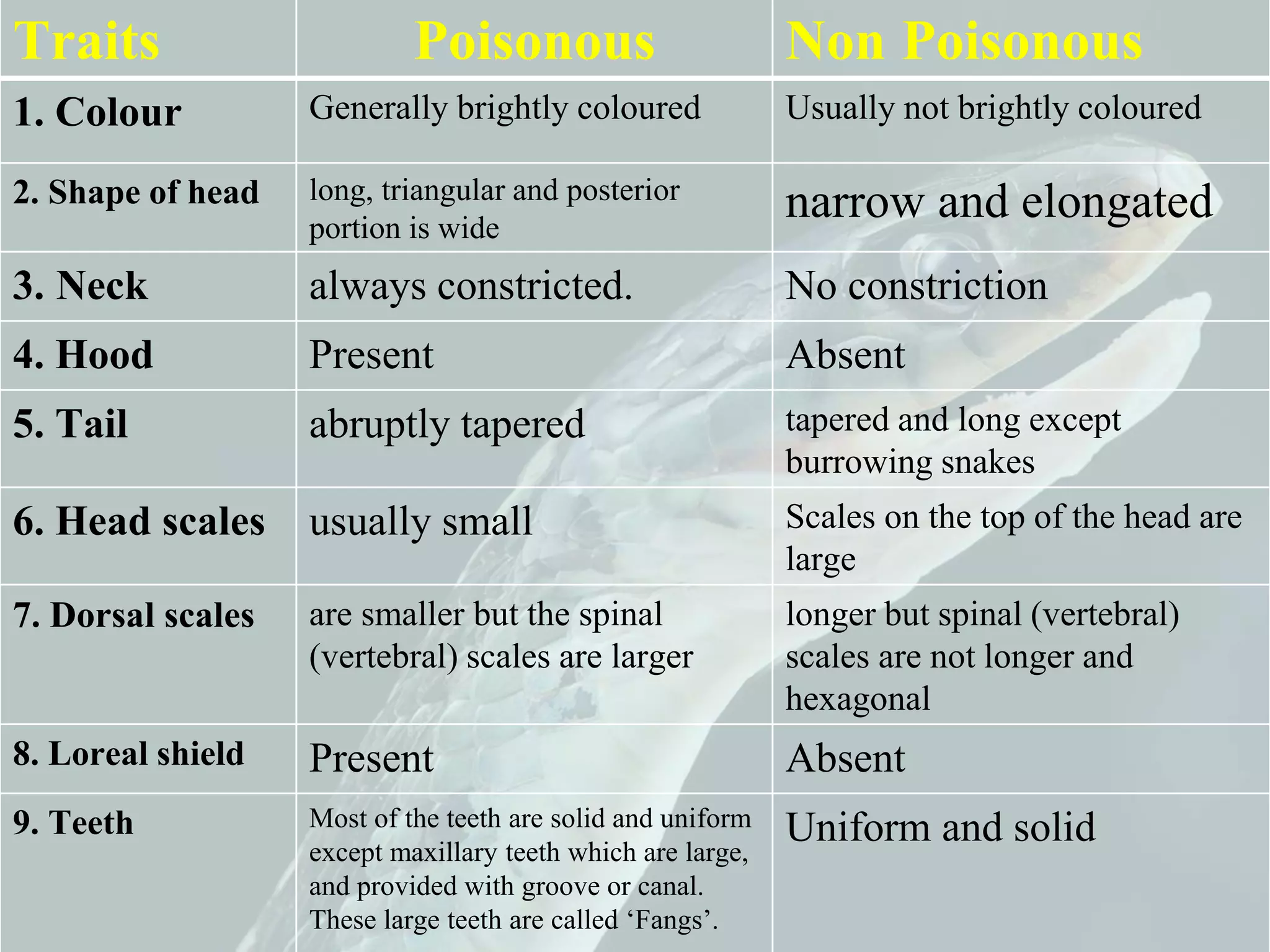 management of Snake bite | PPTX