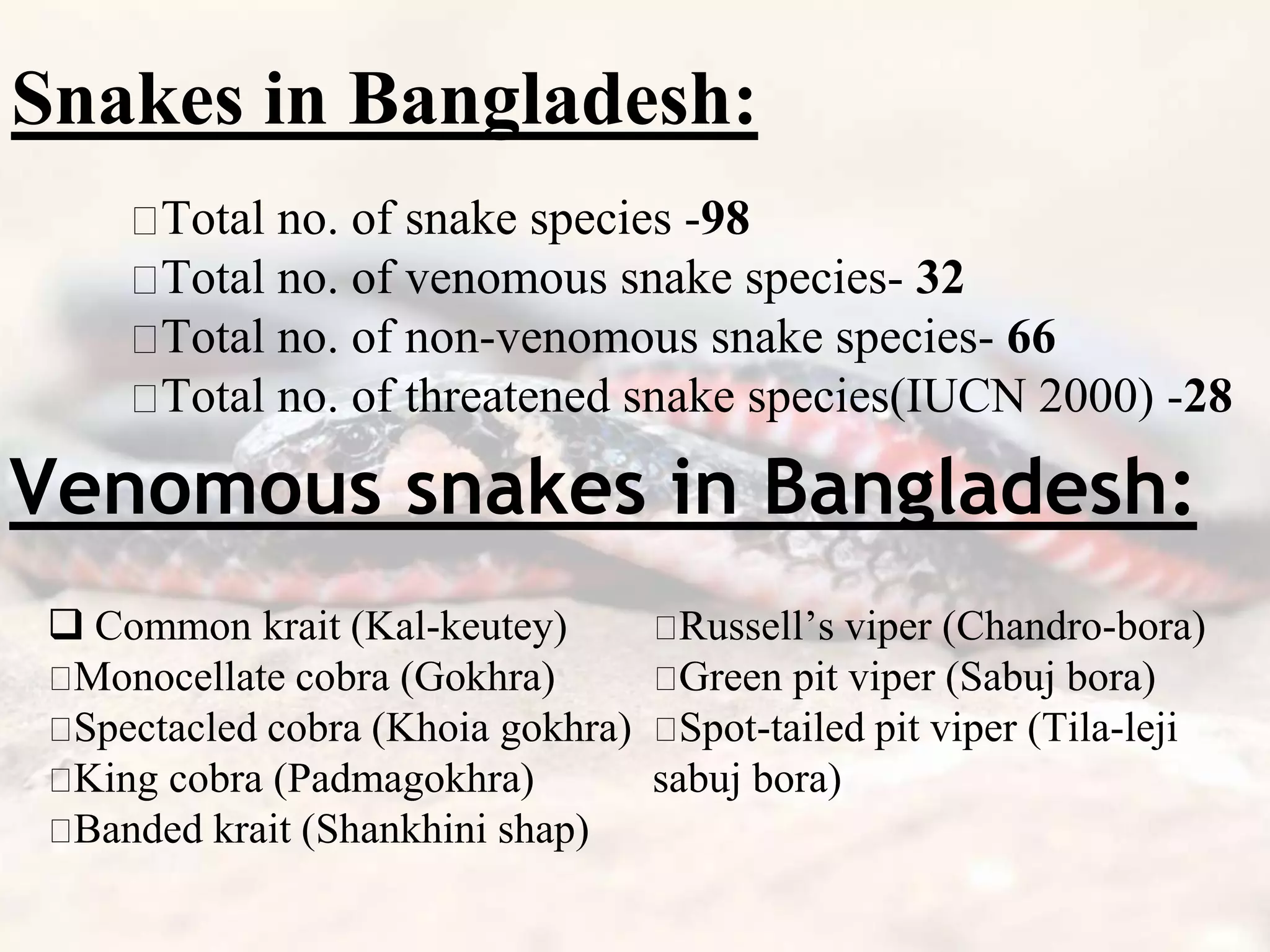 management of Snake bite | PPTX