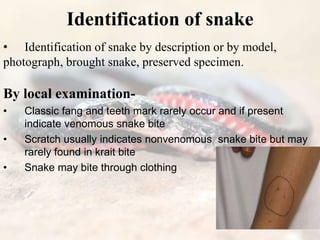 management of Snake bite | PPTX