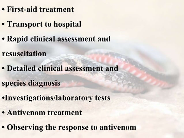 management of Snake bite | PPTX