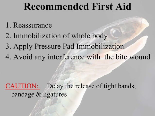 management of Snake bite | PPTX