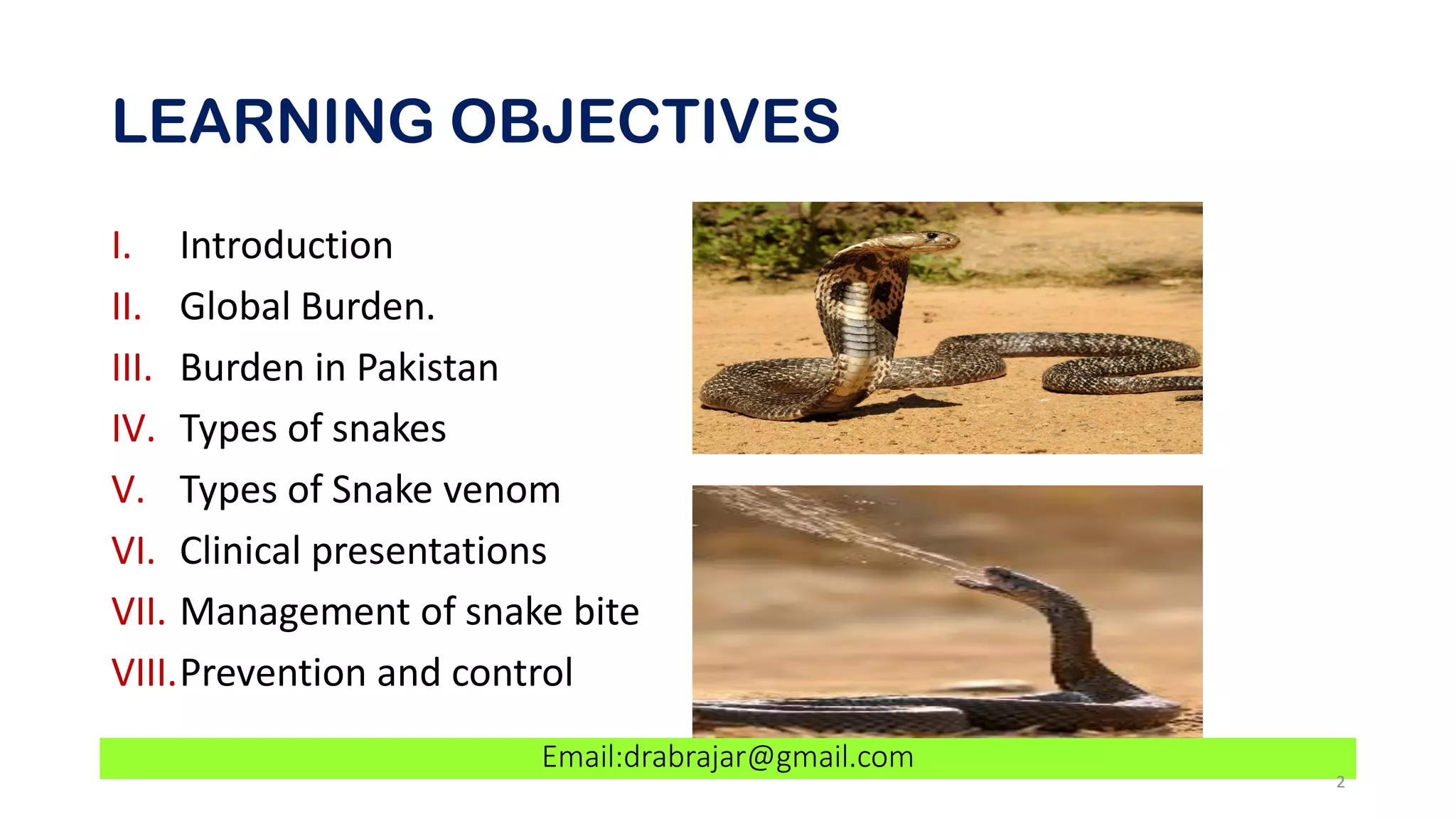 Snake Bite | PDF