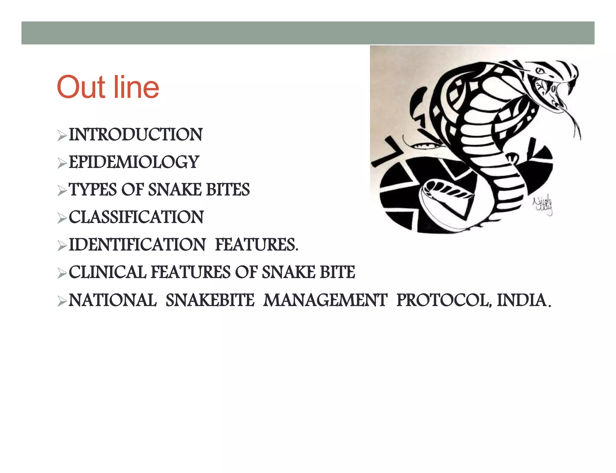 Snake bite | PDF