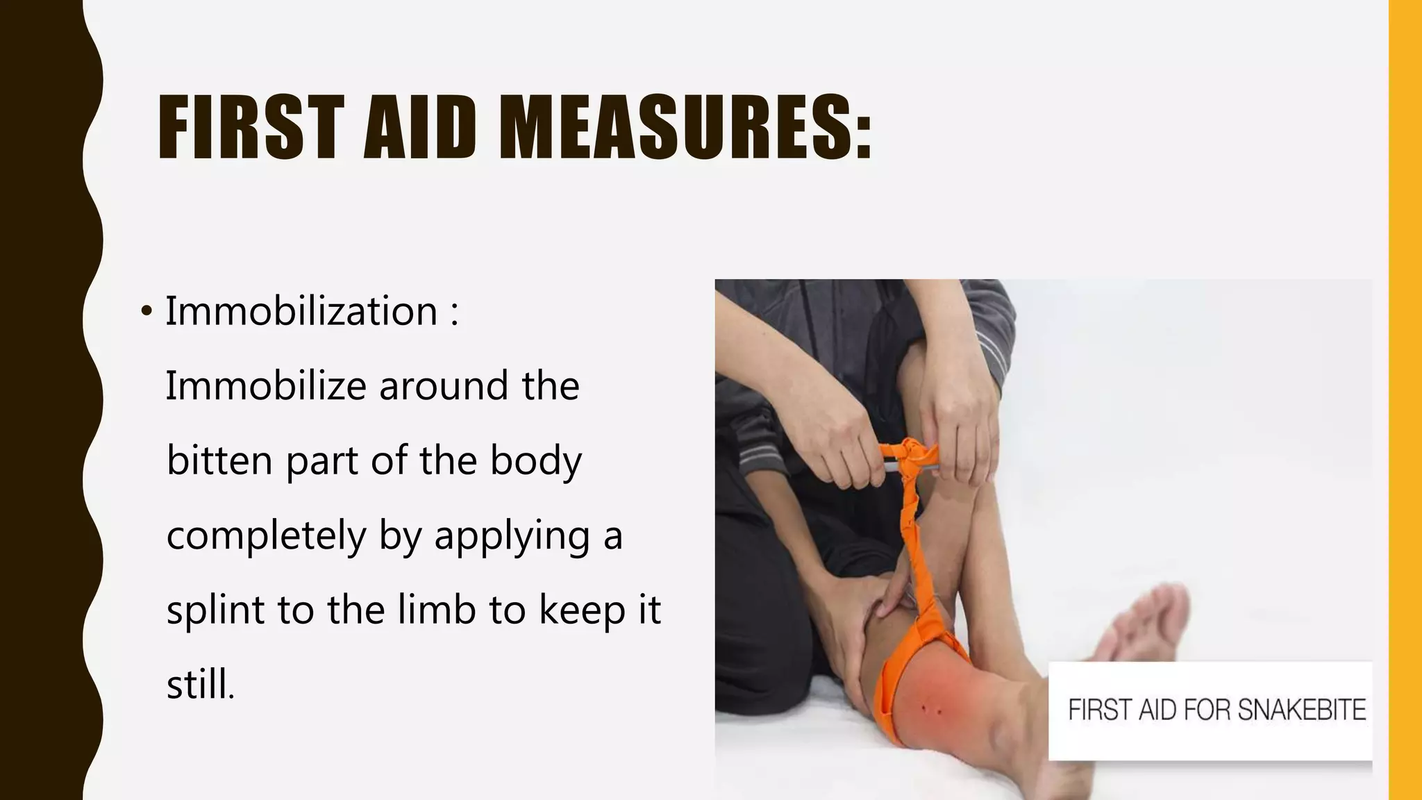 First aid for Snake bite | PPTX