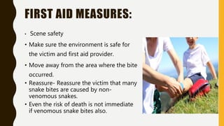 First aid for Snake bite | PPTX