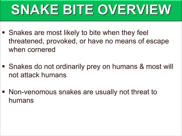 "Venomous Encounters: Understanding the Physiology, Treatment, and ...