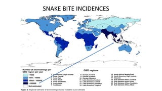 SNAKE BITE (penanganan dan juga pertolongan pertama pada gigitan ular).pptx