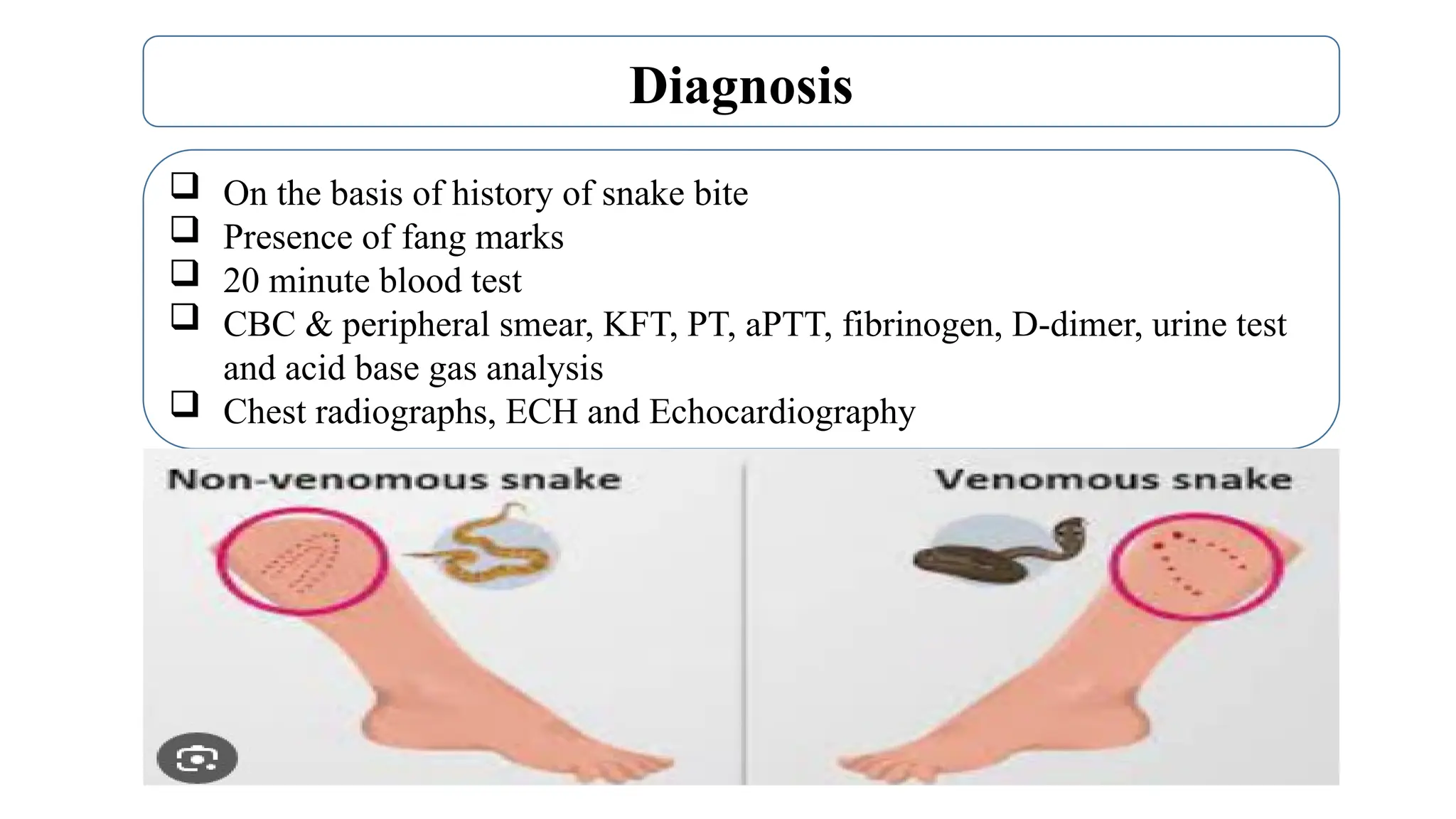 Snake Bite in Veterinary Forensic Medicine.ppt