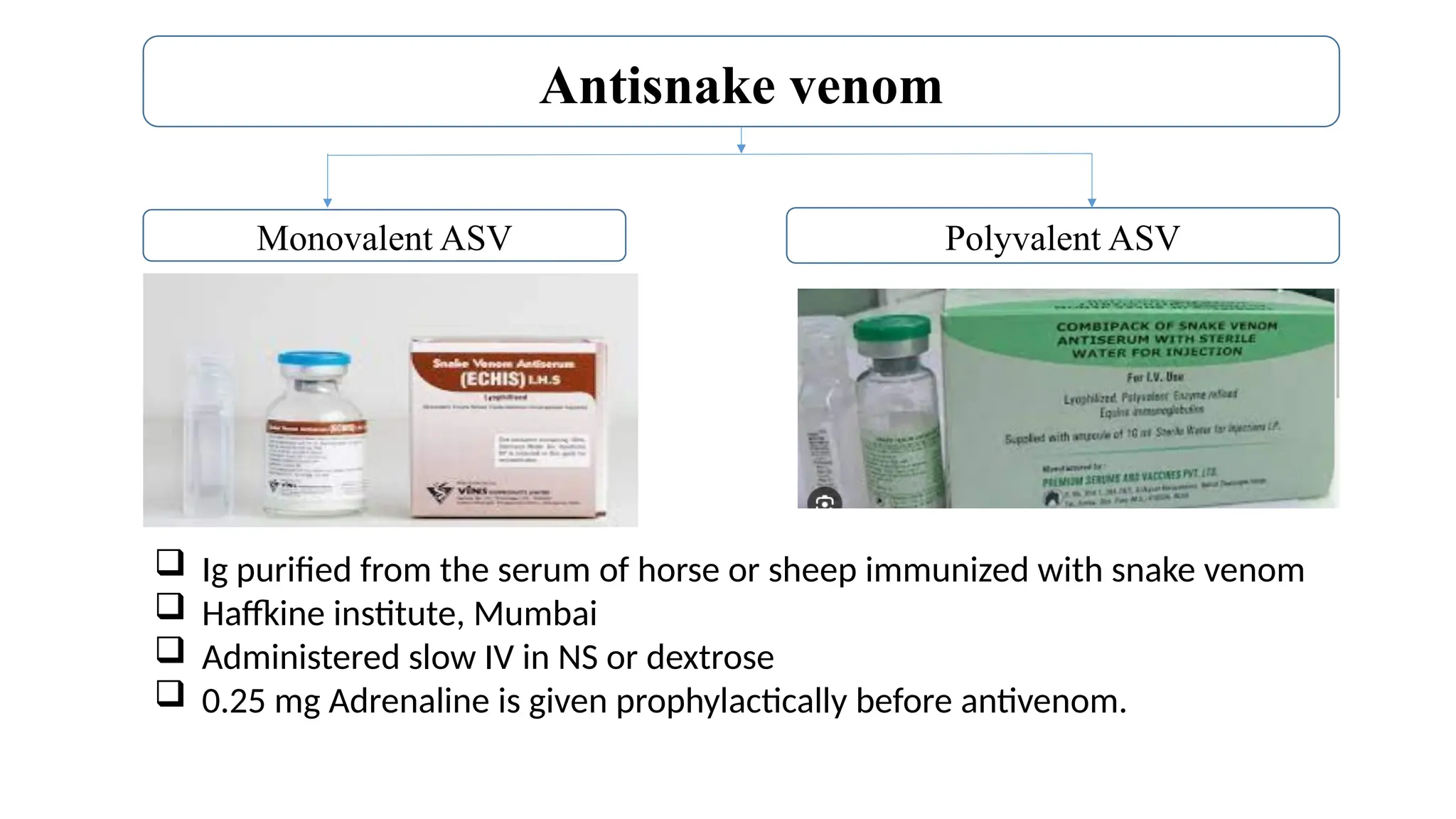 Snake Bite in Veterinary Forensic Medicine.ppt