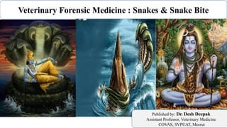 Snake Bite in Veterinary Forensic Medicine.ppt