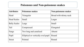 Snake Bite in Veterinary Forensic Medicine.ppt