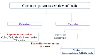 Snake Bite in Veterinary Forensic Medicine.ppt