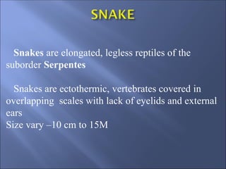 Snake Bite.ppt when a snake bites you what to do then | PPT