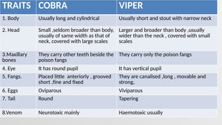SNAKE BITE - types and management profile | PPT