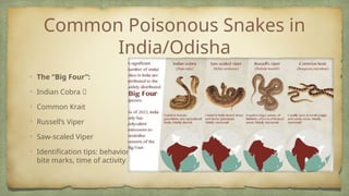 Snake Bite - Training of ASHA Workers .pptx
