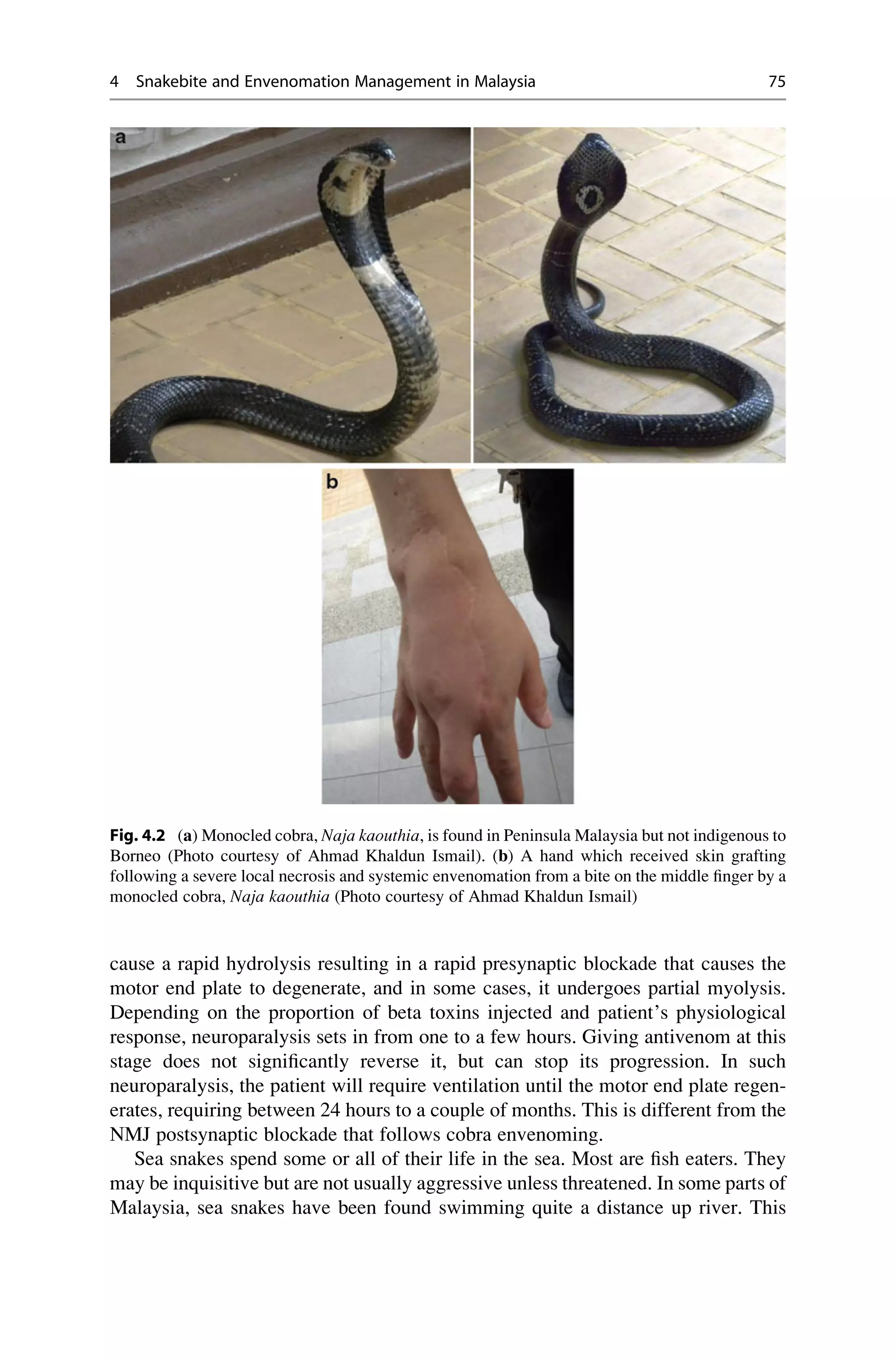 snakebite-and-envenomation-management-in-malaysia_230703_212615.pdf