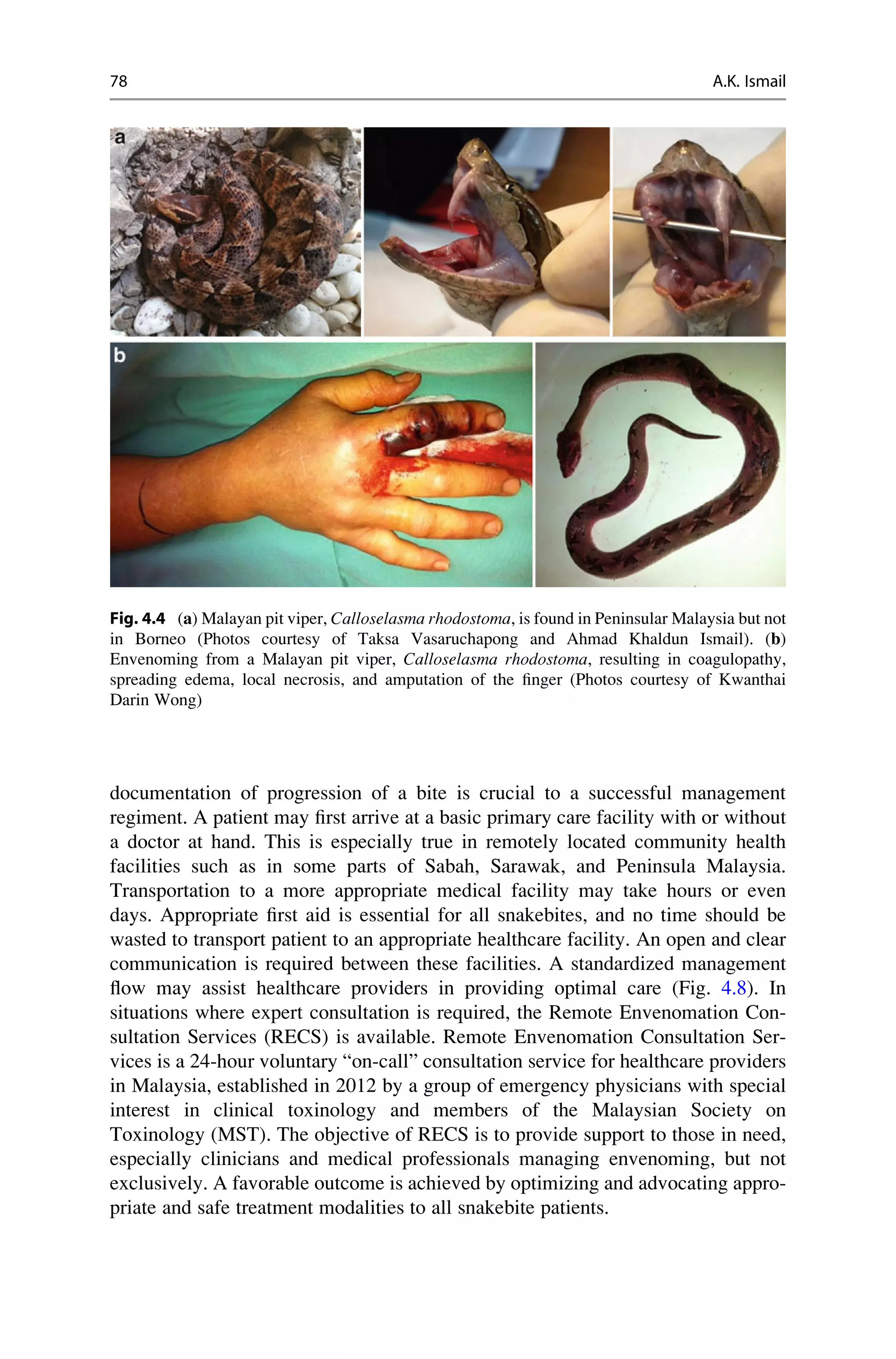 snakebite-and-envenomation-management-in-malaysia_230703_212615.pdf