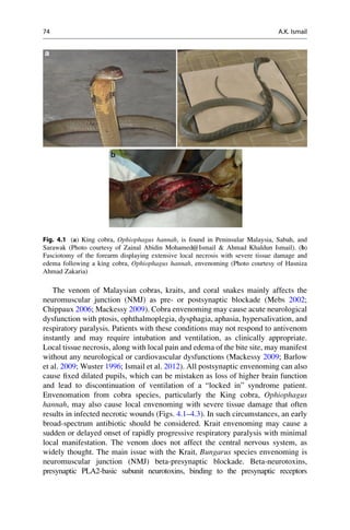 snakebite-and-envenomation-management-in-malaysia_230703_212615.pdf