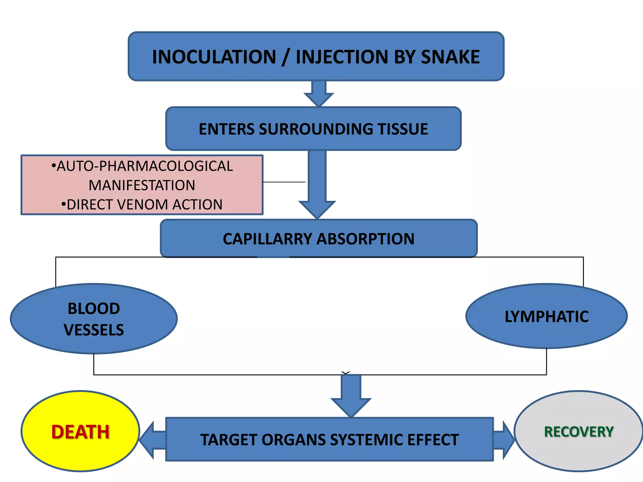 Snake bite-Dr-Rizwan-ANMC- 2023-final.pptx