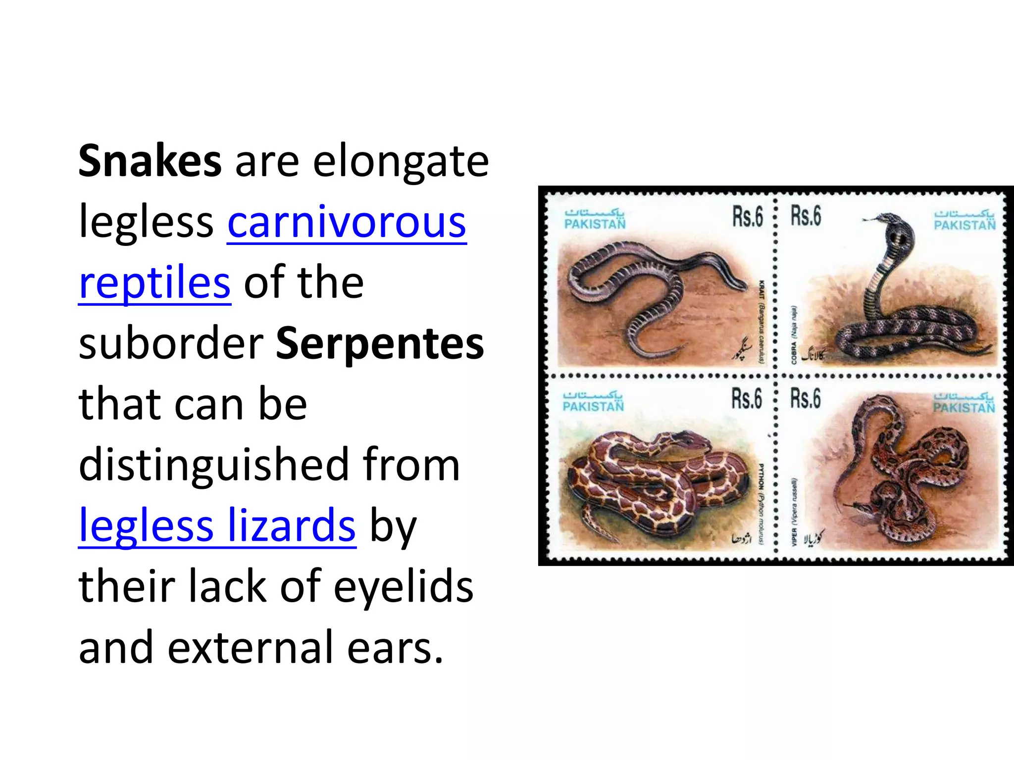Snake bite-Dr-Rizwan-ANMC- 2023-final.pptx