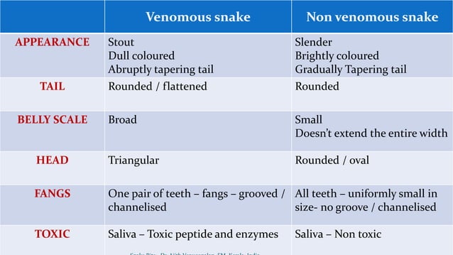 Snake Bite - Evaluation & Management in India - Dr. Ajith Venugopalan ...