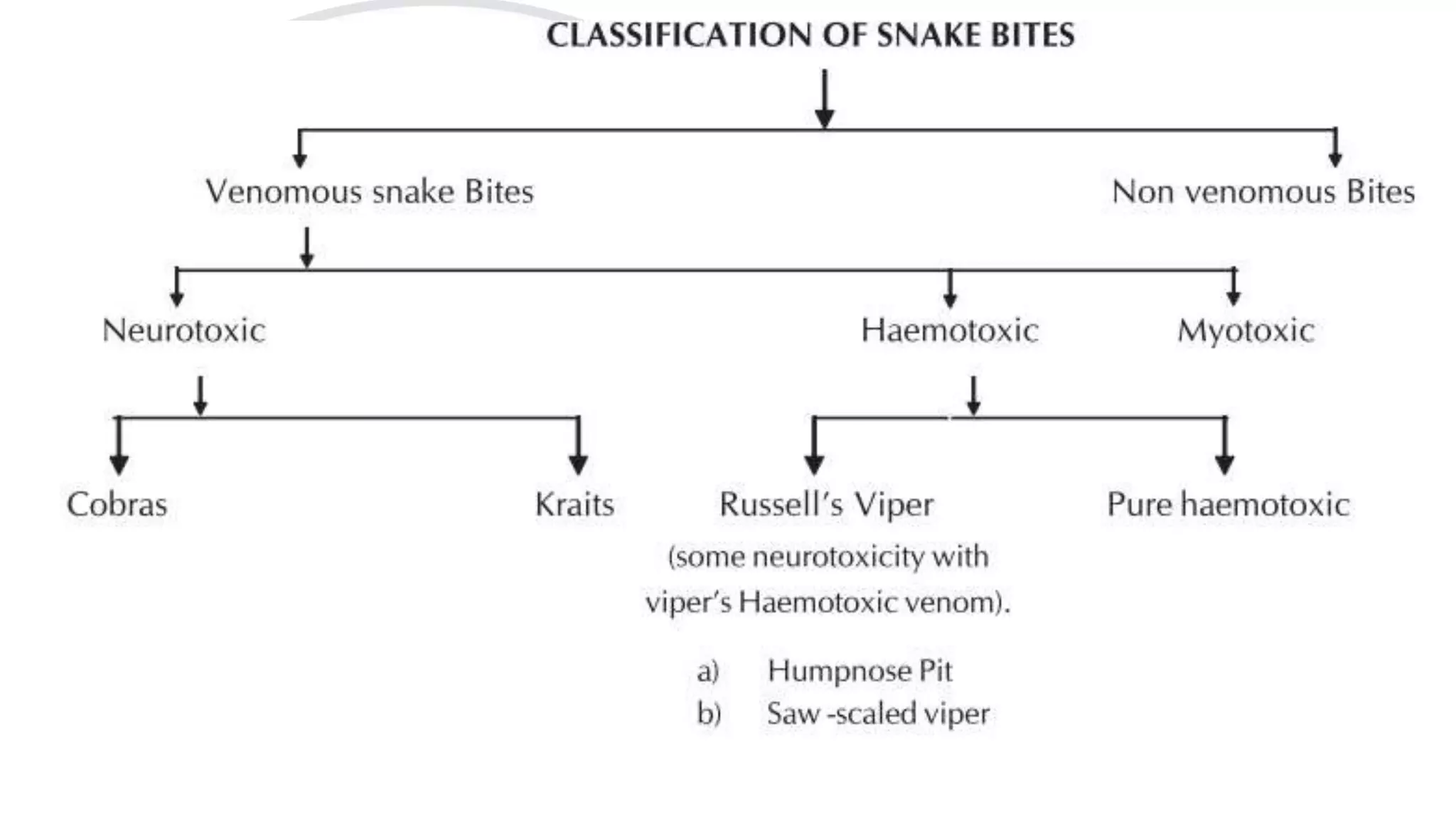 Snake bite management India | PPTX