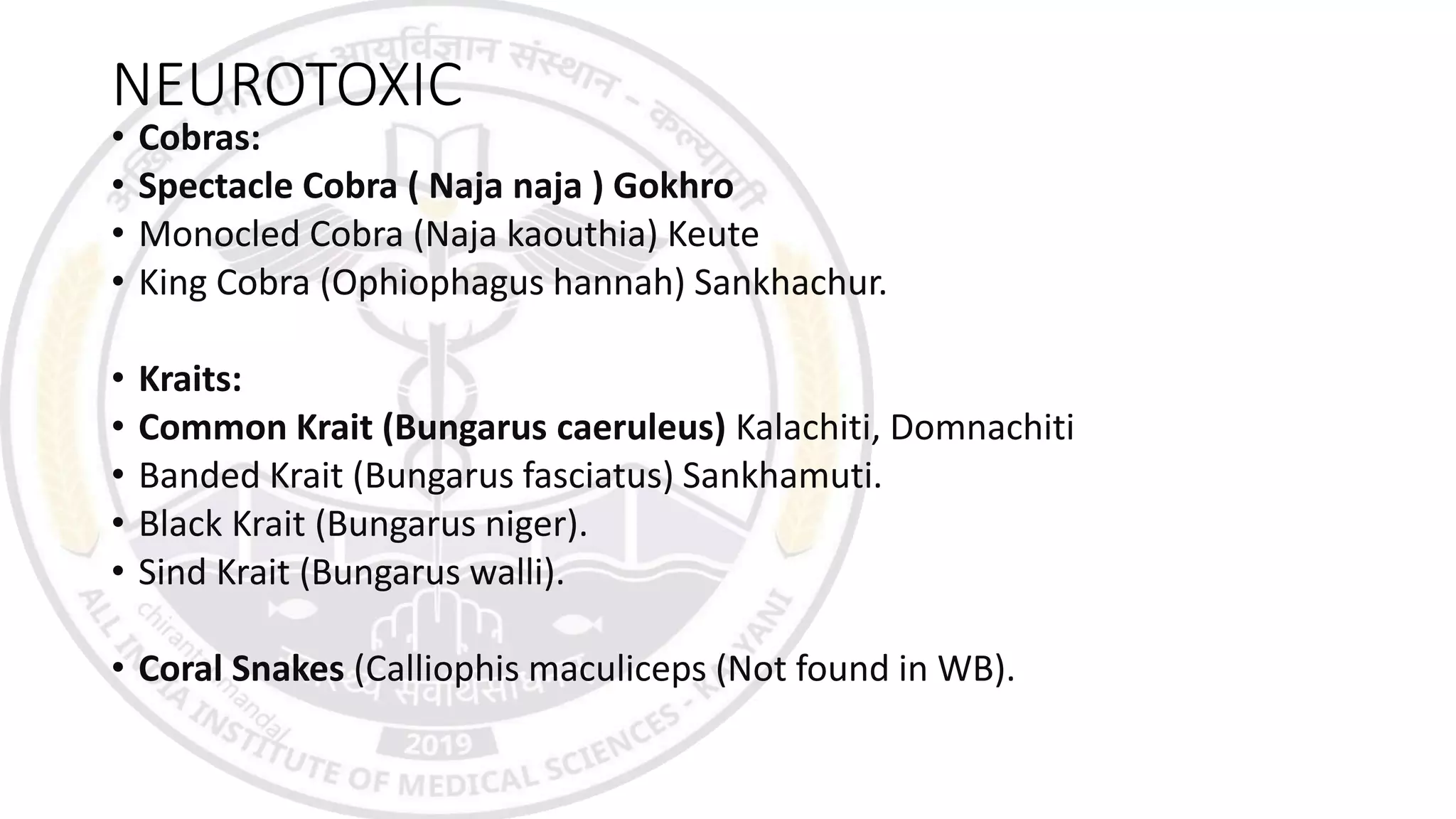 Snake bite management India | PPTX