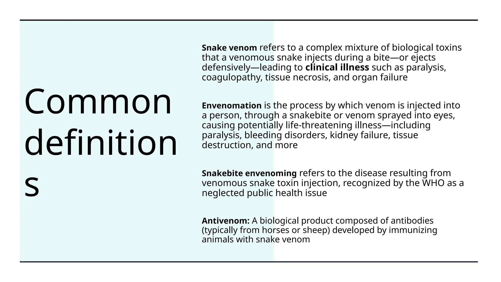 SNAKEBITE AND ANTIVENOM PRESENTATION.pptx