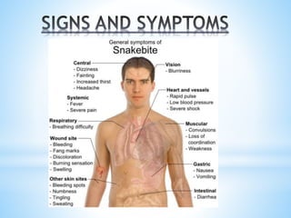 Snake bite and its management | PPTX