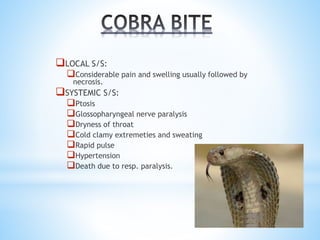 Snake bite and its management | PPTX