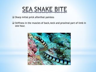 Snake bite and its management | PPTX