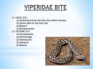 Snake bite and its management | PPTX