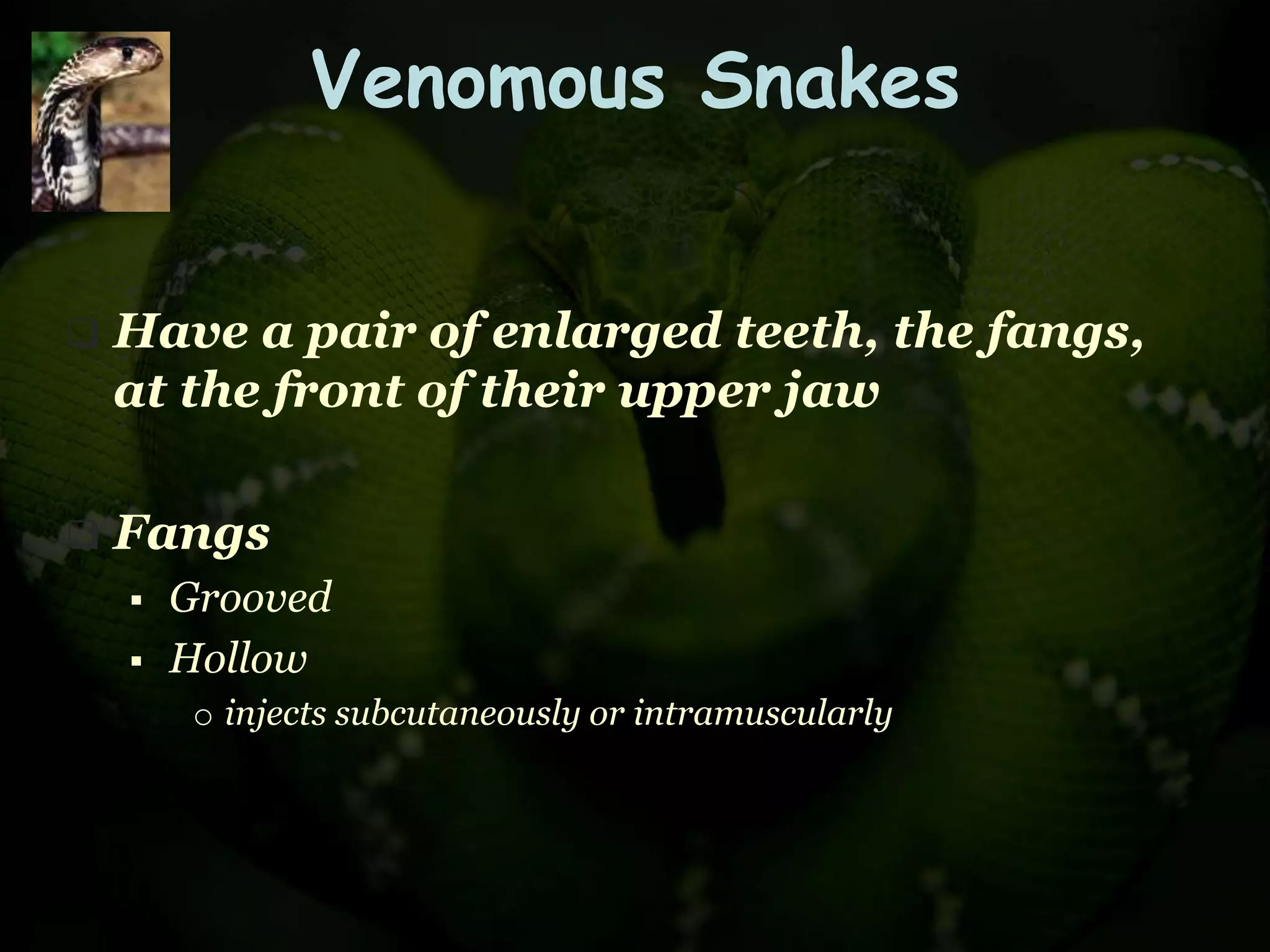 Snake bite and its management- Mayank Kumar Dubey (Forensic/DNA Expert ...