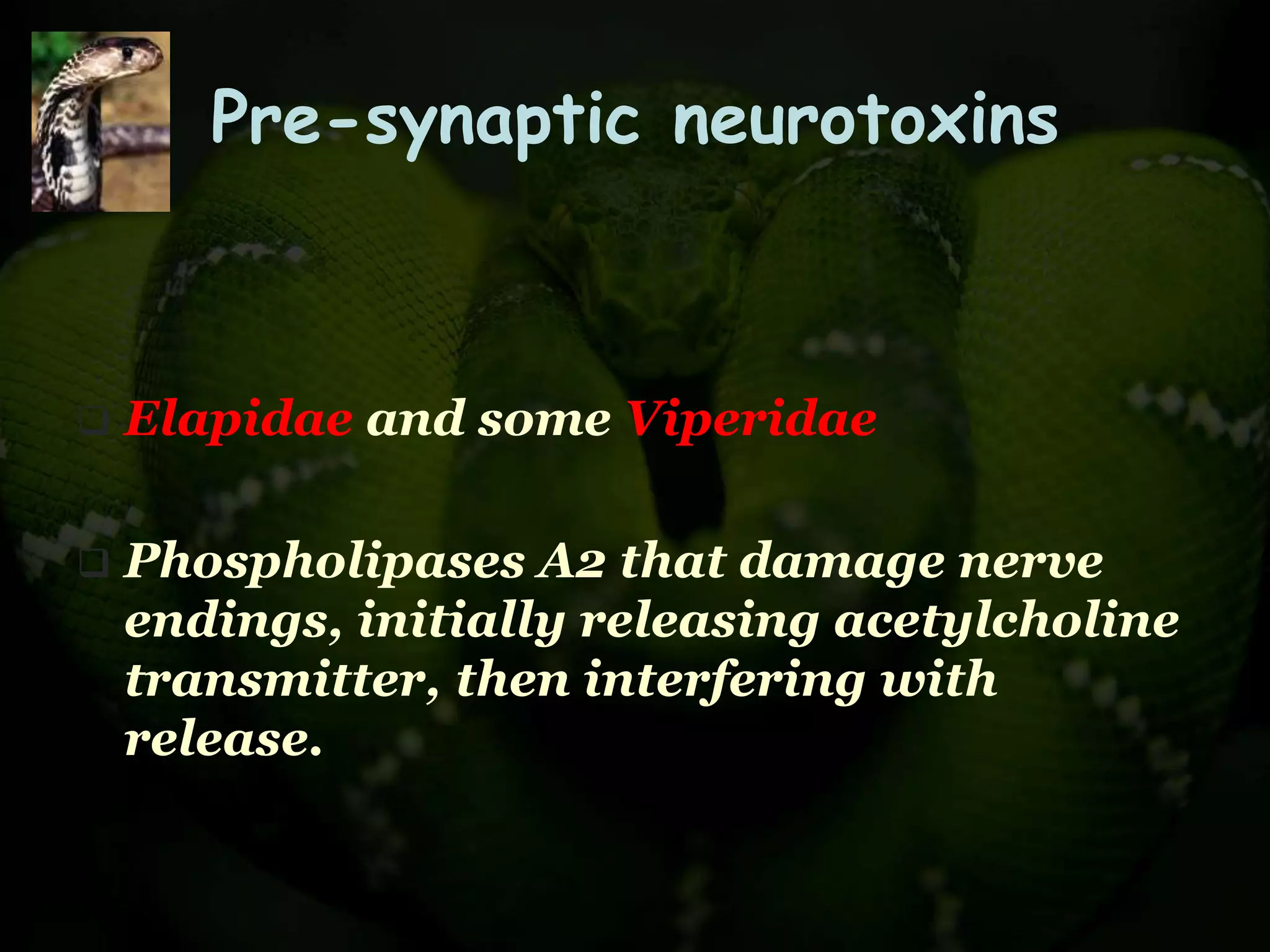 Snake bite and its management- Mayank Kumar Dubey (Forensic/DNA Expert ...