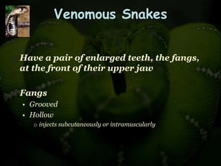 Snake bite and its management- Mayank Kumar Dubey (Forensic/DNA Expert ...