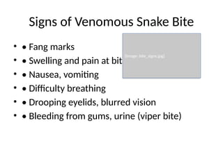 Snake_Bite_Awareness_With_Images.pptx mi | PPT
