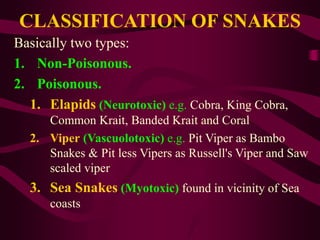SNAKE BITE (Breif)F_1-2.ppt | Blood Disorders | Diseases and Conditions